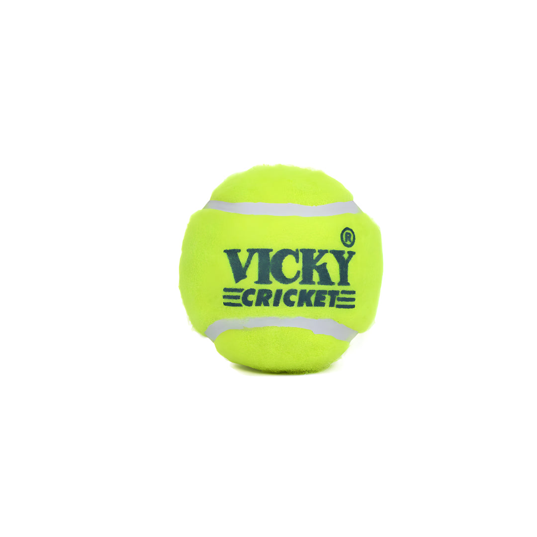 Cosco Vicky Ball - Durable and Colorful Play Ball for Kids – gyftzee